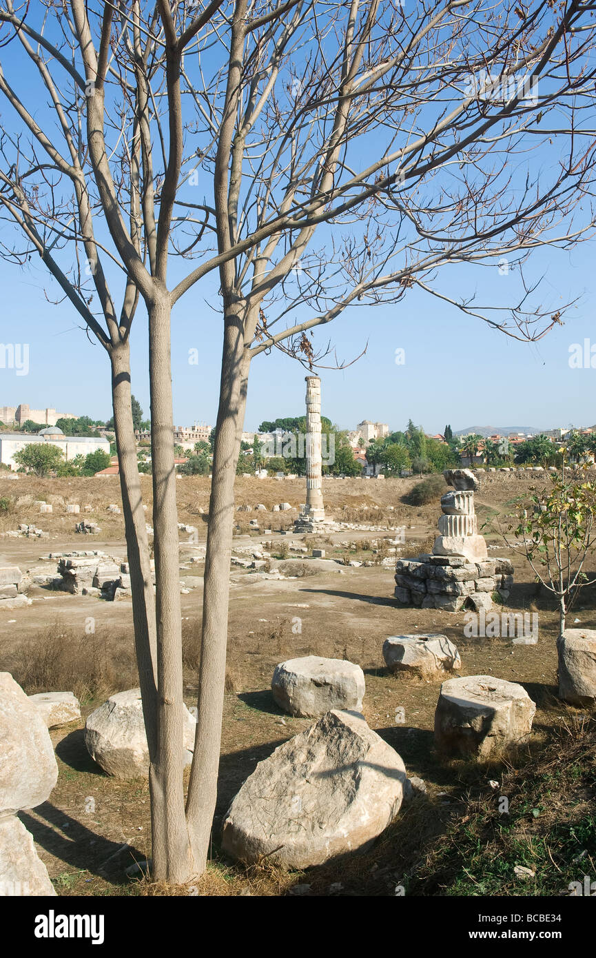Temple of Artemis Ephesus Turkey Stock Photo - Alamy