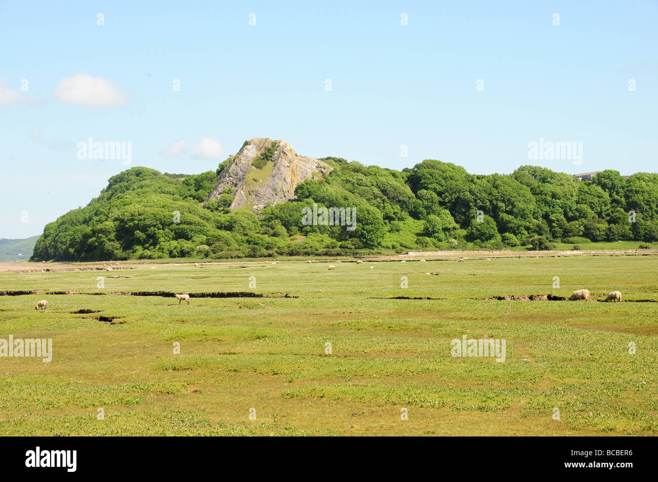 North Hill Torr Landimore Marsh Whiteford Burrows Gower Peninsula ...
