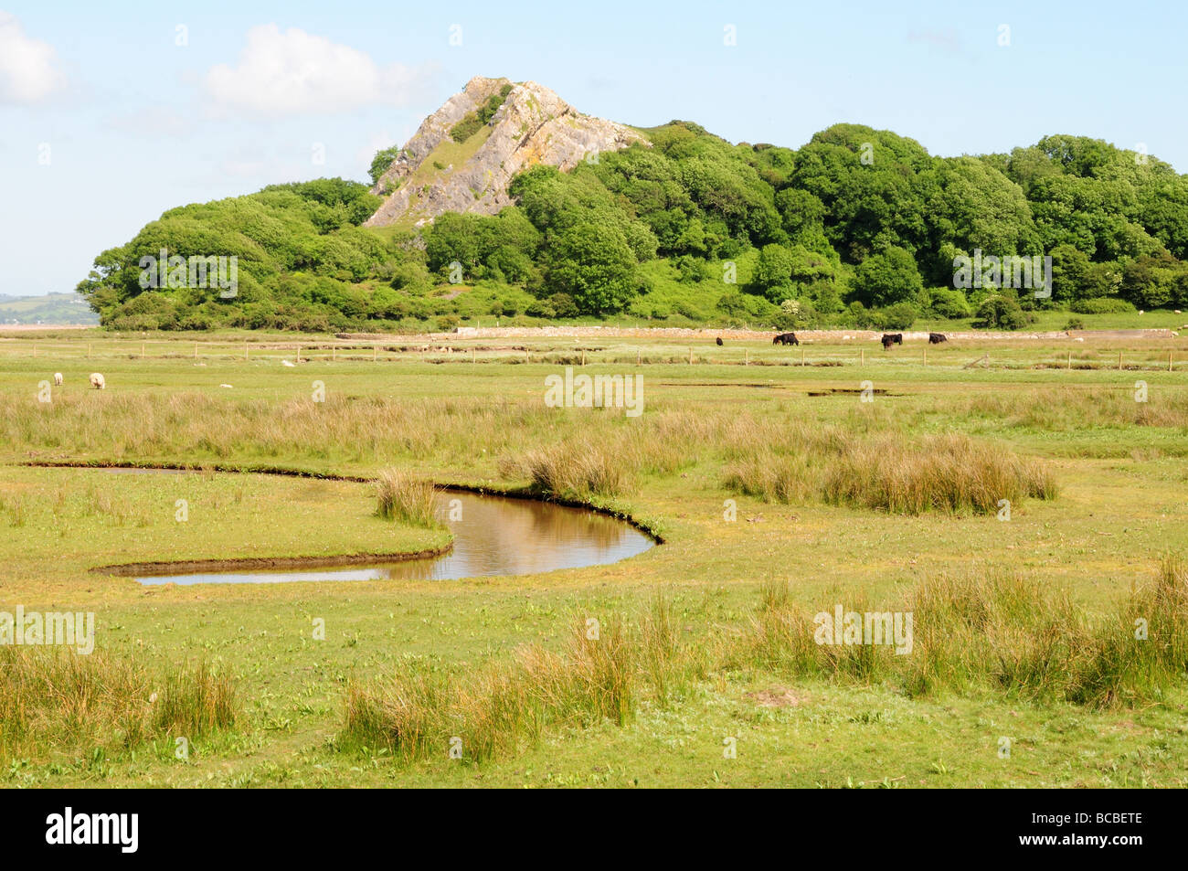 North Hill Torr Landimore Marsh Whiteford Burrows Gower Peninsula ...