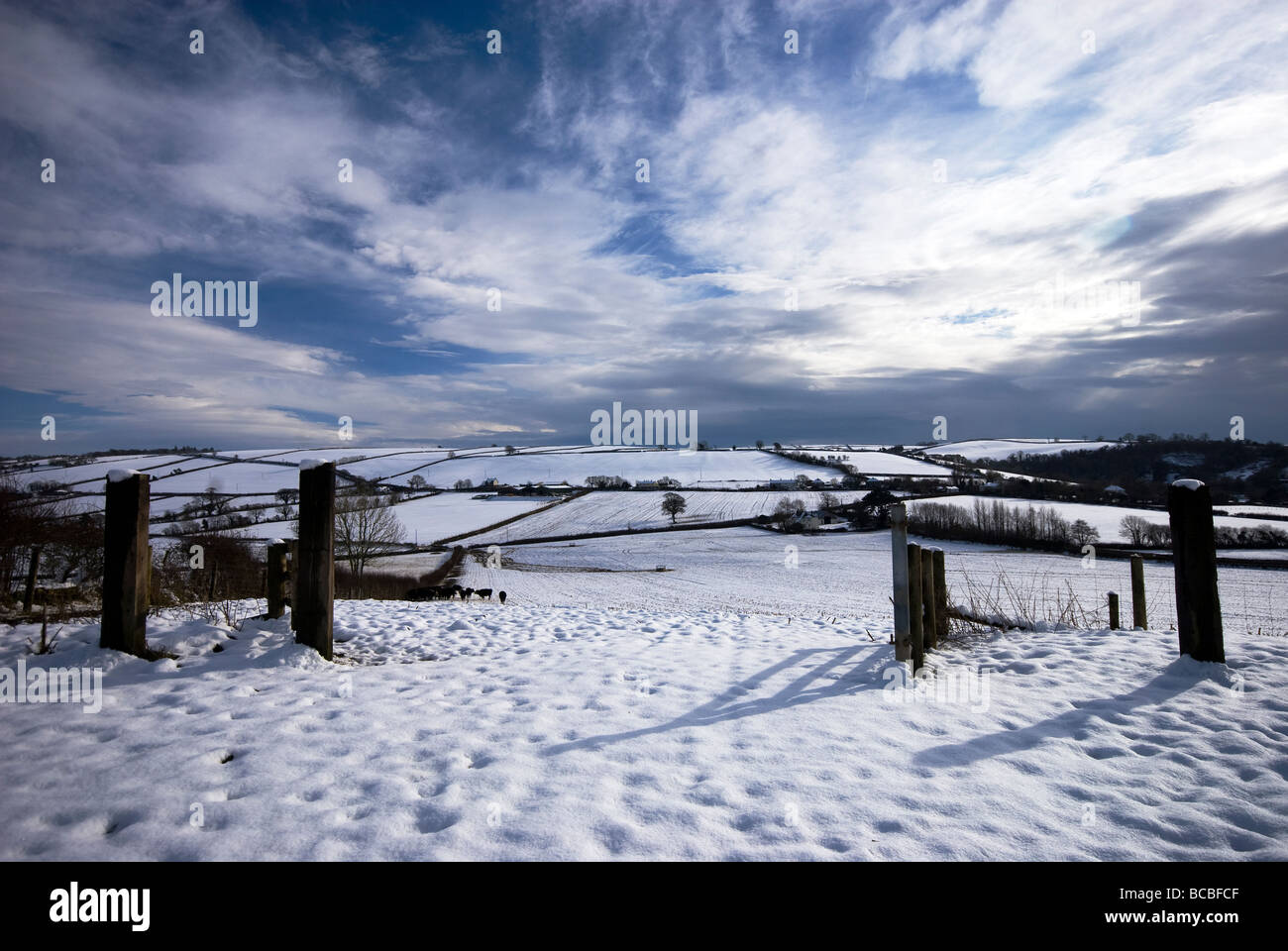 Snow in devon hi-res stock photography and images - Alamy