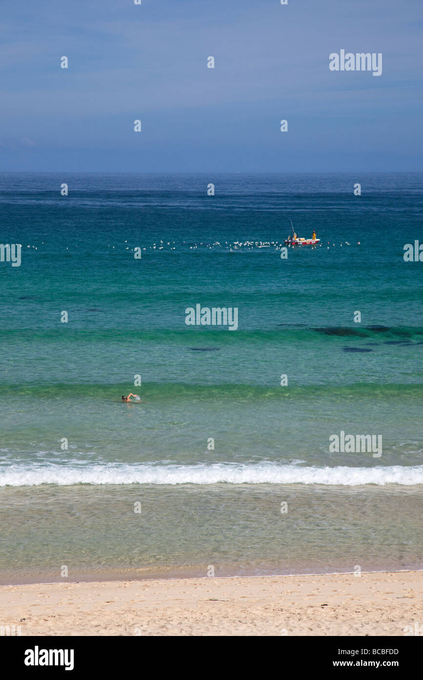 England Cornwall St Ives Sea Swimming Stock Photos & England Cornwall ...