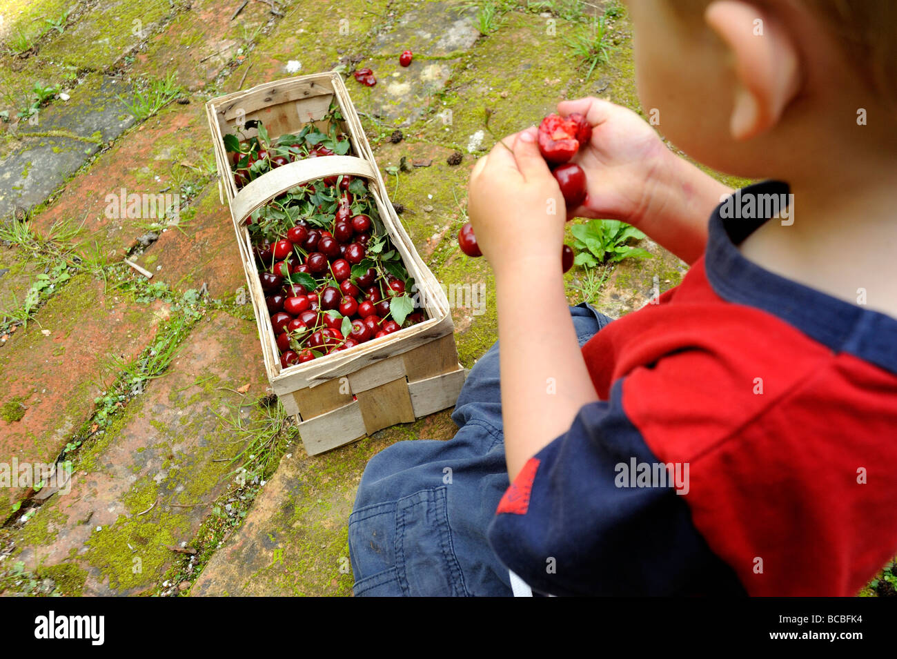 Child blond boy eating fresh cherries Stock Photo - Alamy