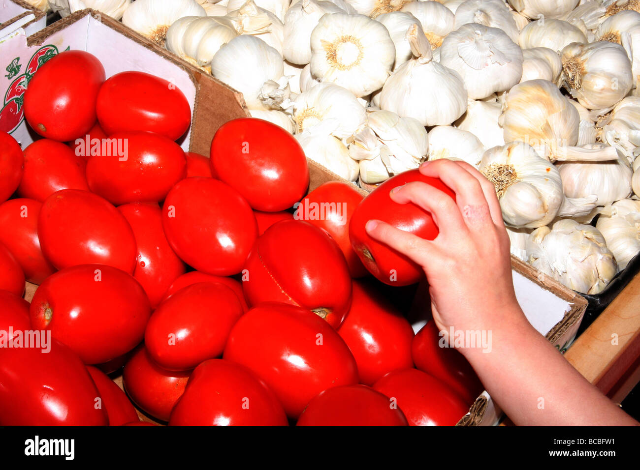 A young girl picking out tomatoes at the grocery store Stock Photo - Alamy