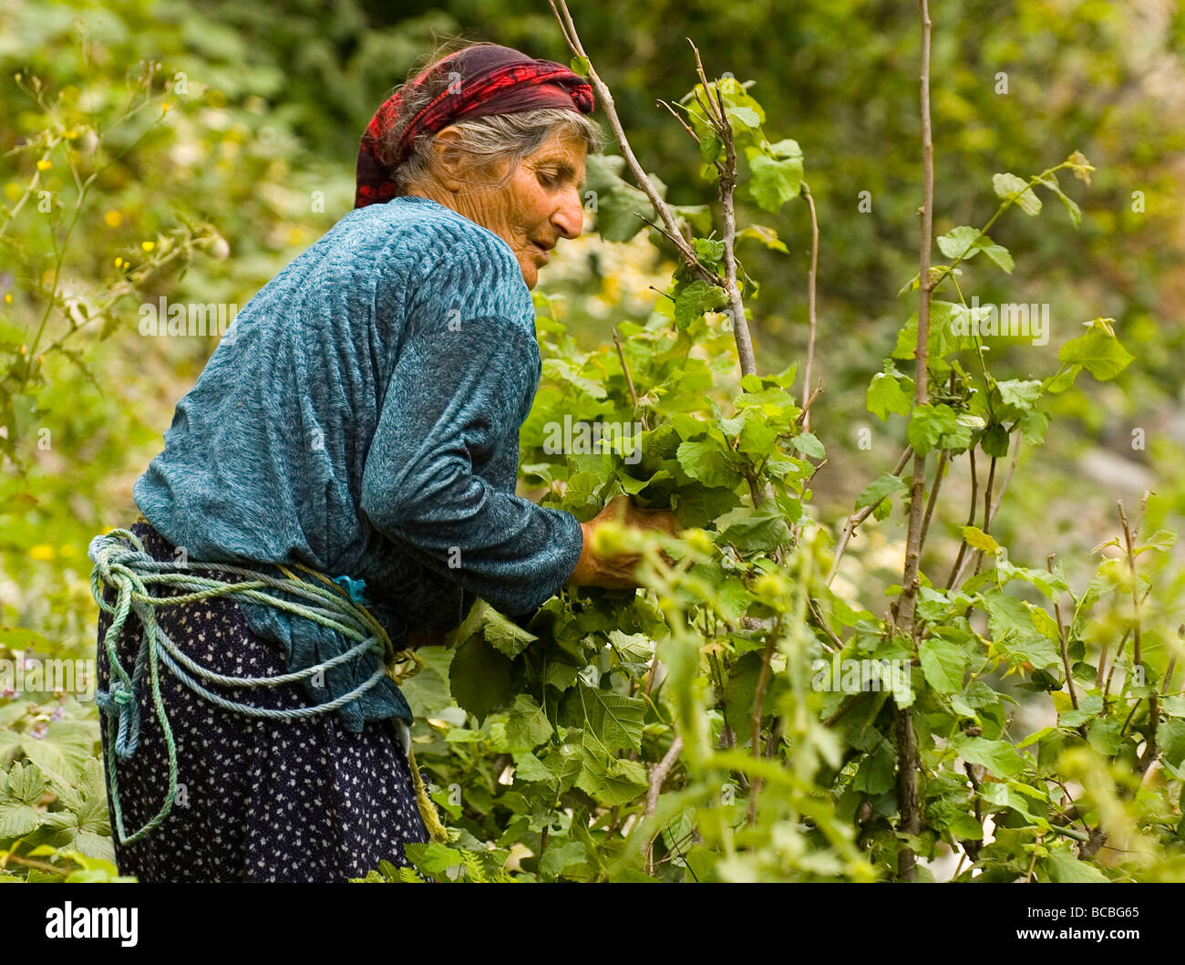 Turkish pension hi-res stock photography and images - Alamy
