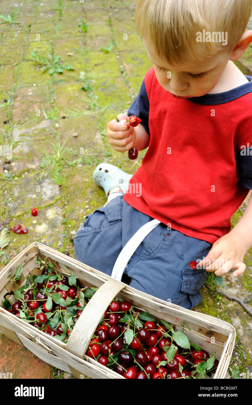 Children eat cherries hi-res stock photography and images - Alamy