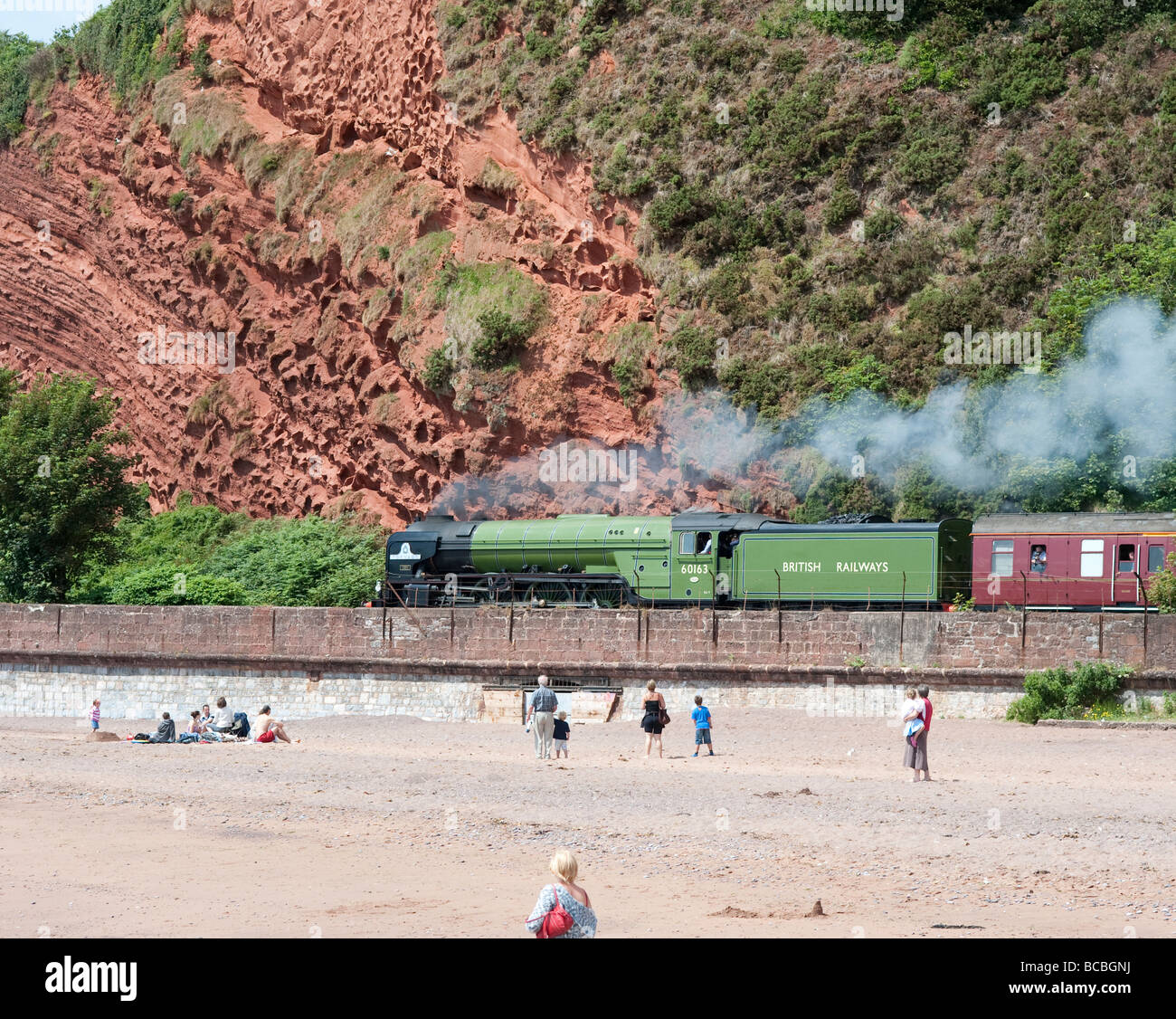 Steam Train Tornado through Coryton Cove, Dawlish, Devon Stock Photo ...