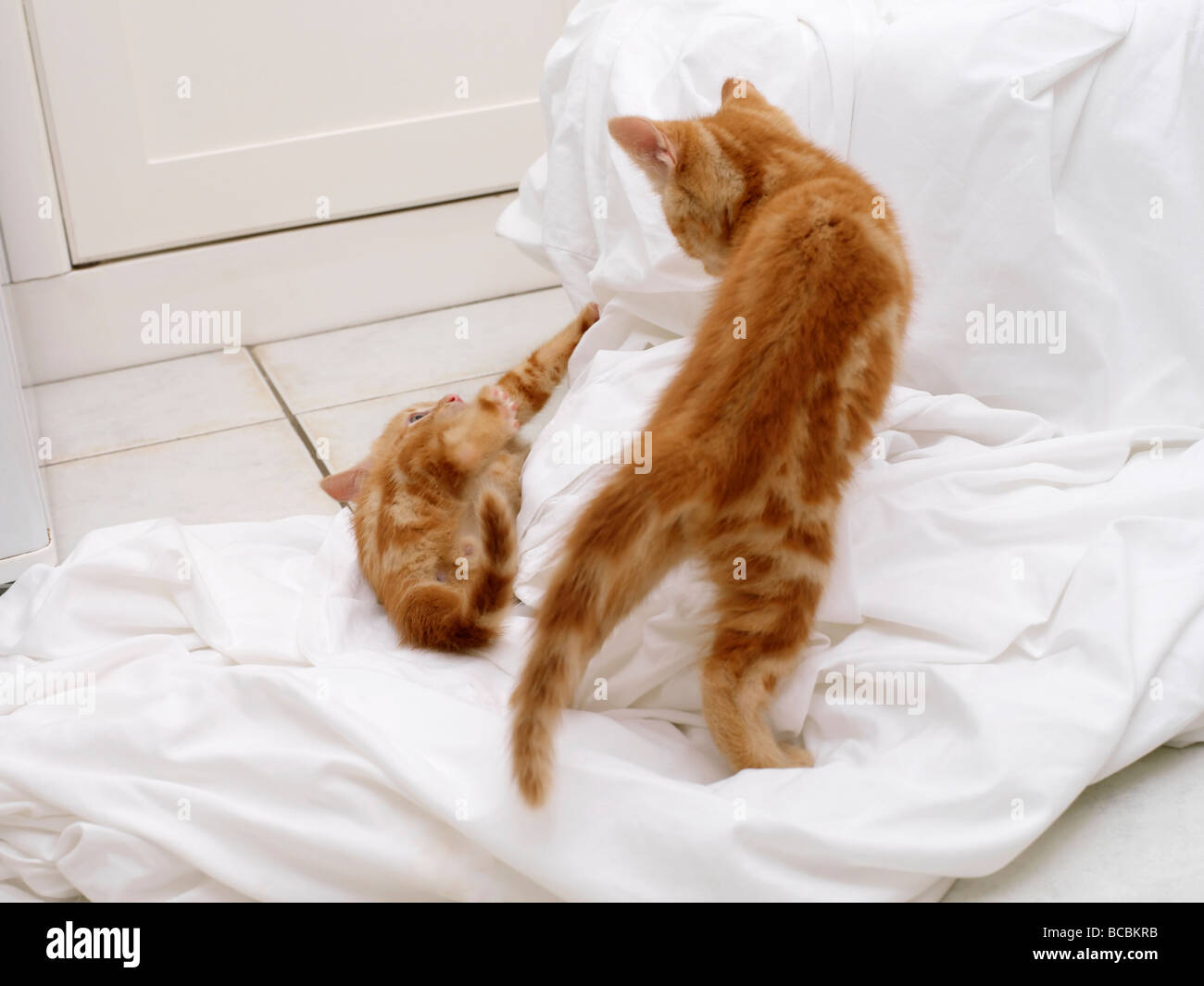 Attacking play hi-res stock photography and images - Alamy