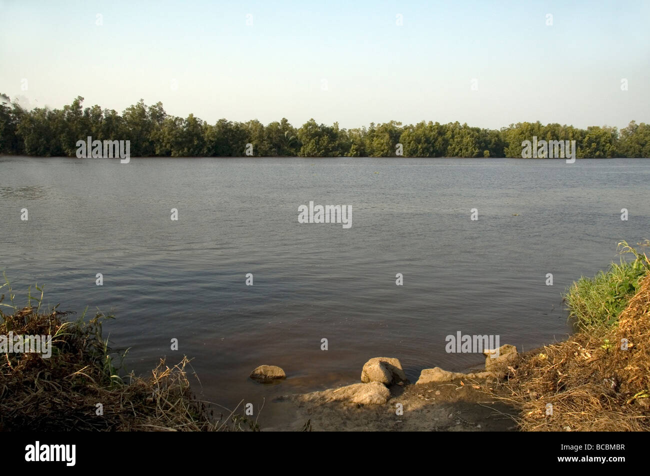 Wouri river hi-res stock photography and images - Alamy
