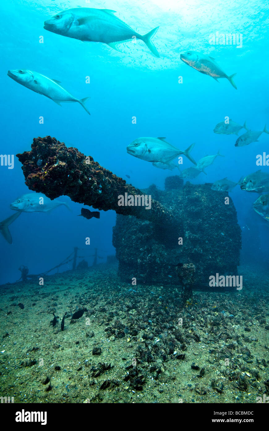 Ex HMAS Brisbane wreck Stock Photo - Alamy