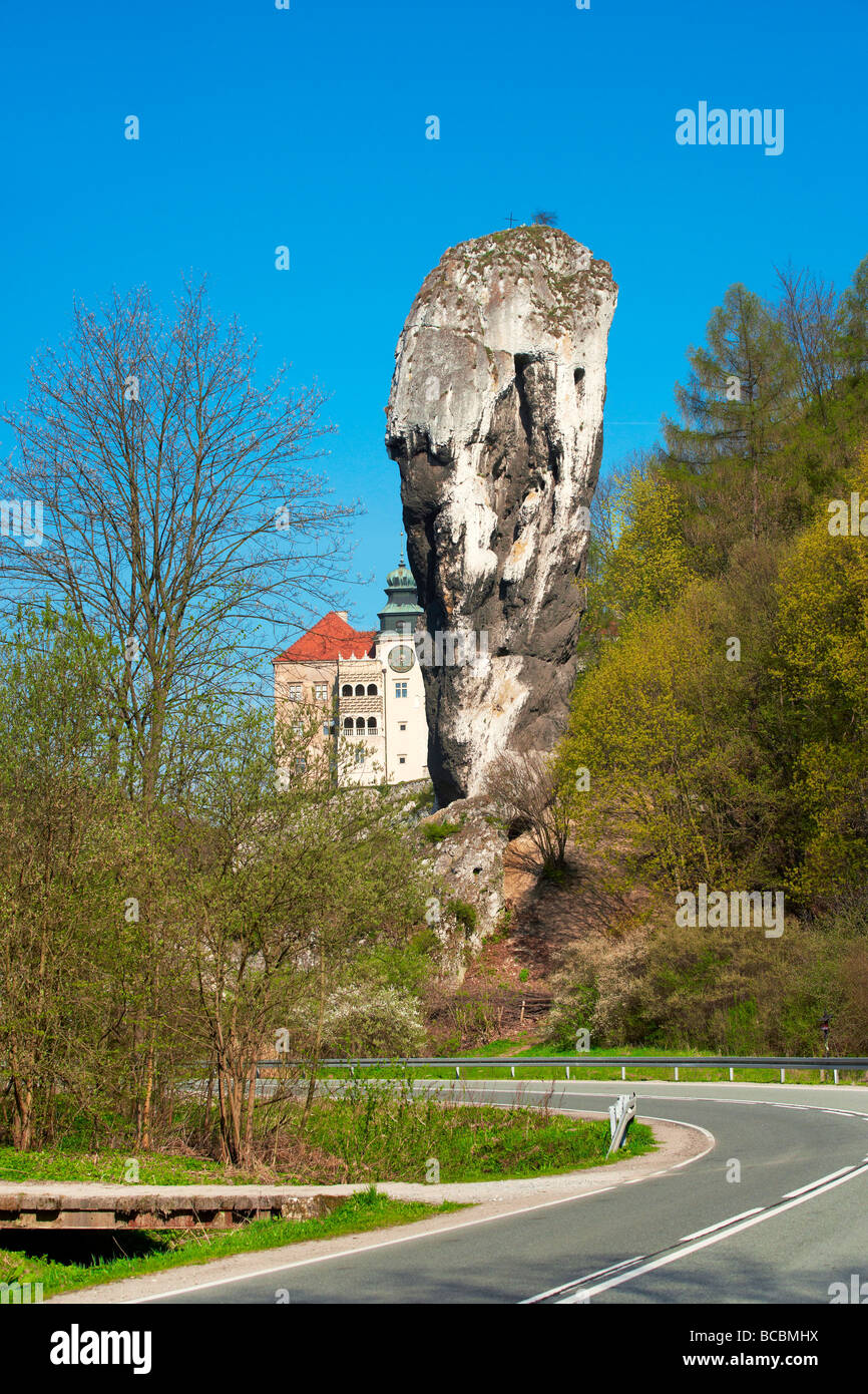 Hercules club tree hi-res stock photography and images - Alamy