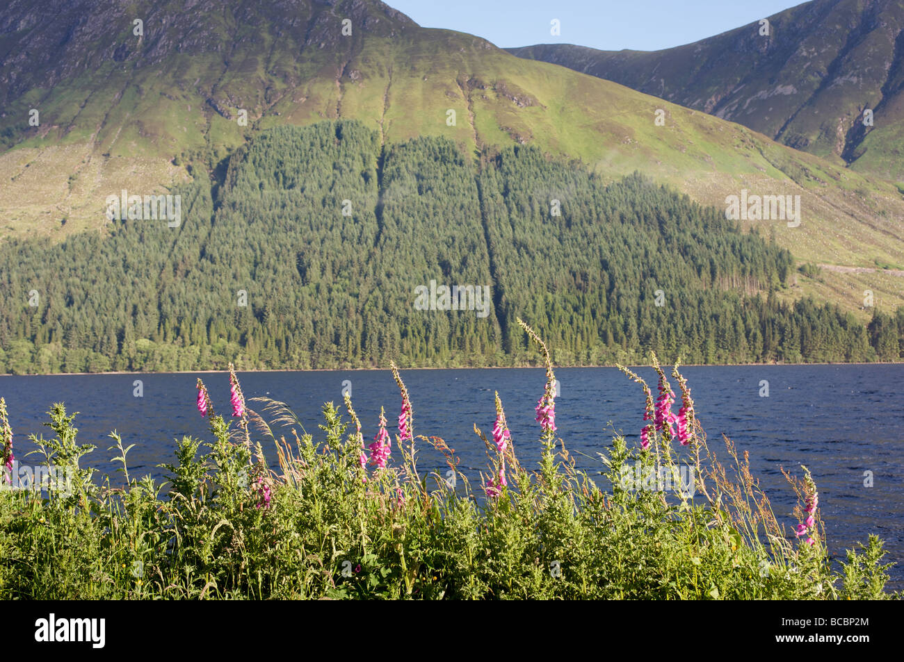 Loch lochy uk hi-res stock photography and images - Alamy