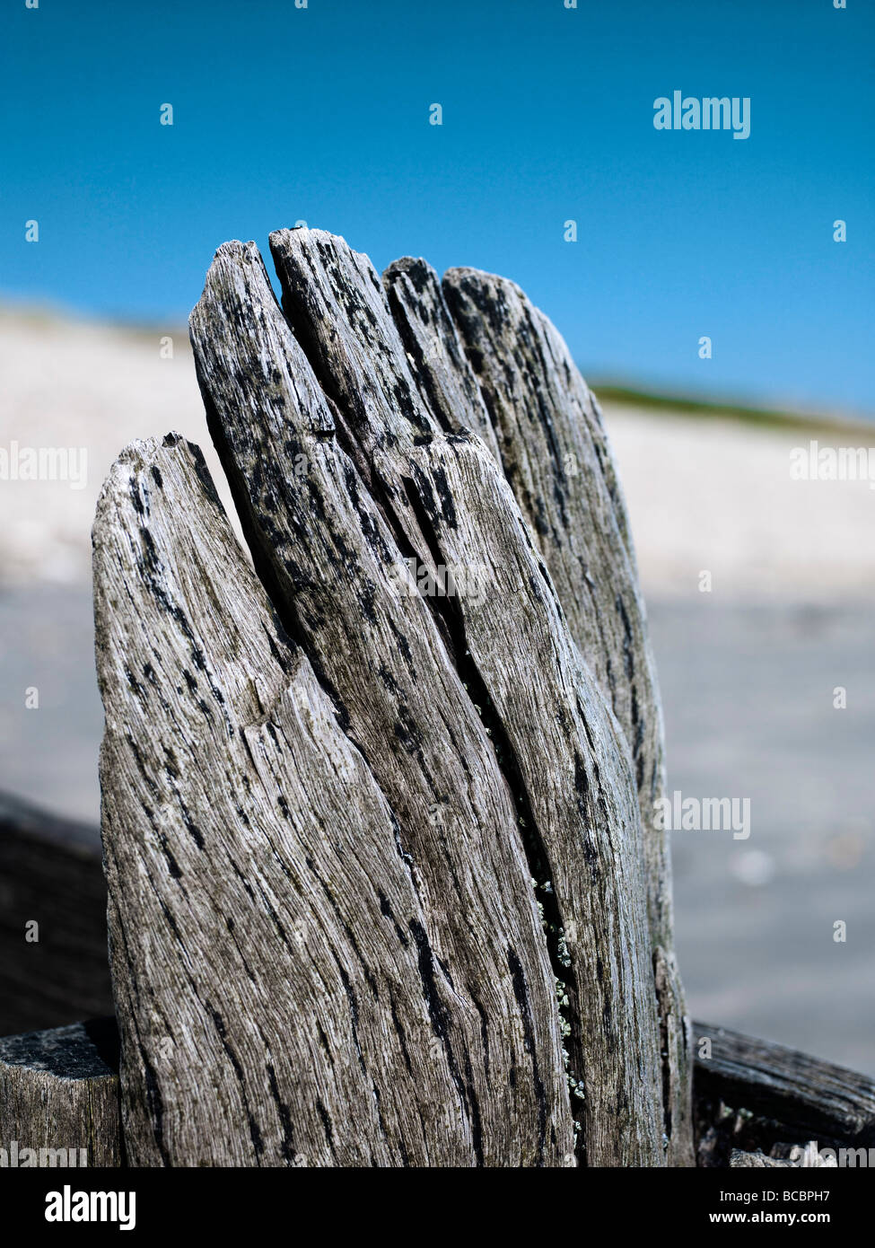 Timber breakwater hi-res stock photography and images - Alamy