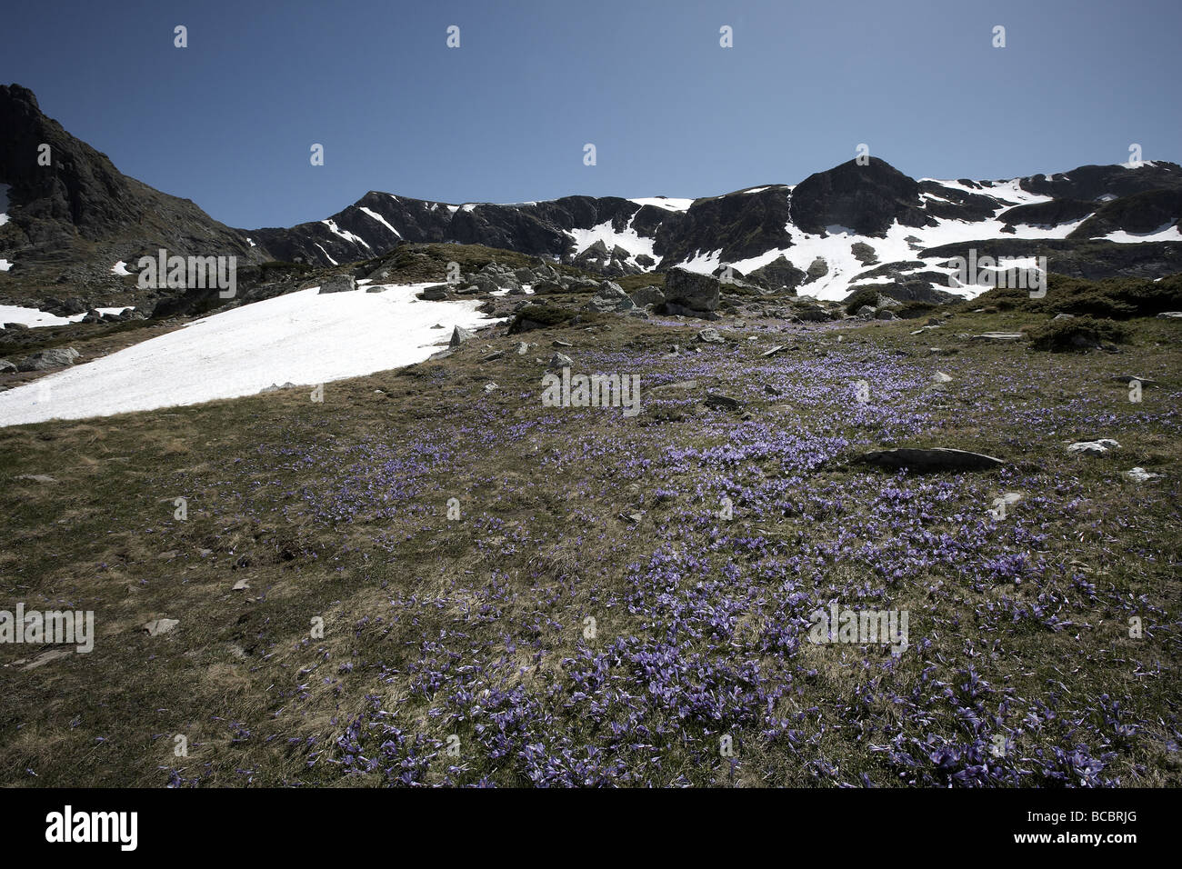 Snowline hi-res stock photography and images - Alamy