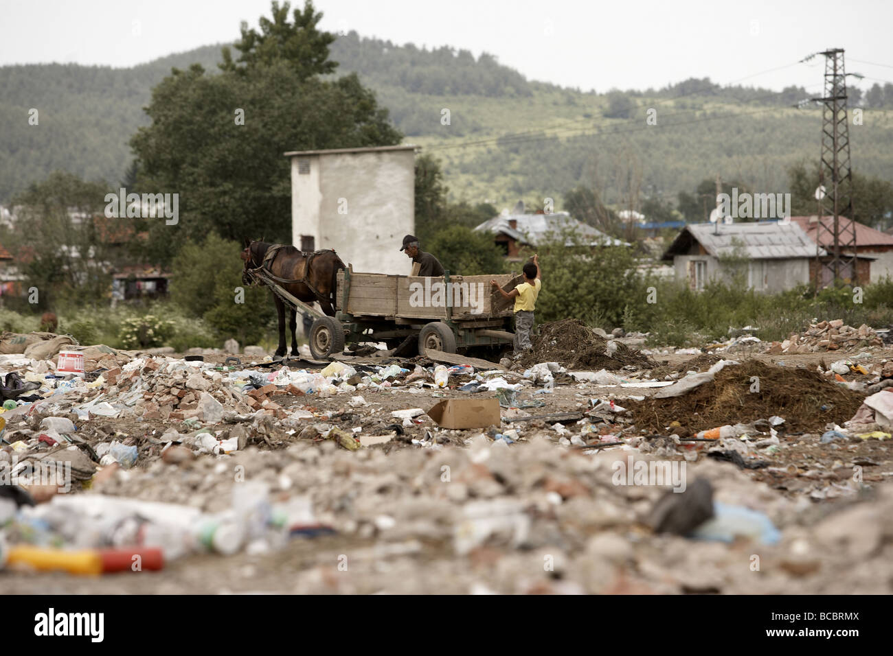 Adults and children man and boy scavenging for rubbish using a horse ...