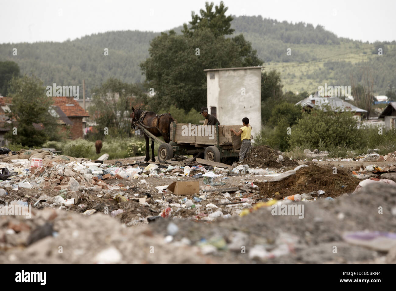 Adults and children scavenging for rubbish using a horse and cart ...