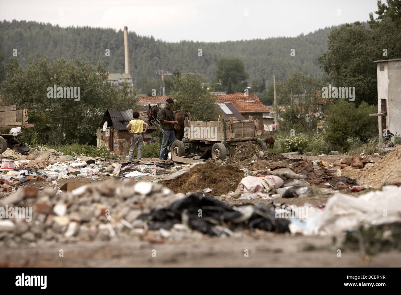 Adults and children scavenging for rubbish using a horse and cart ...