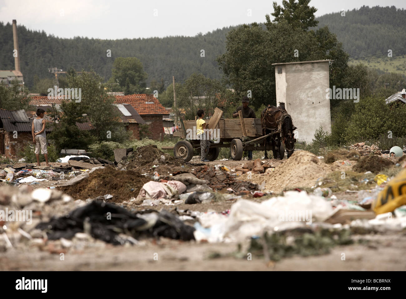 Adults and children scavenging for rubbish using a horse and cart ...