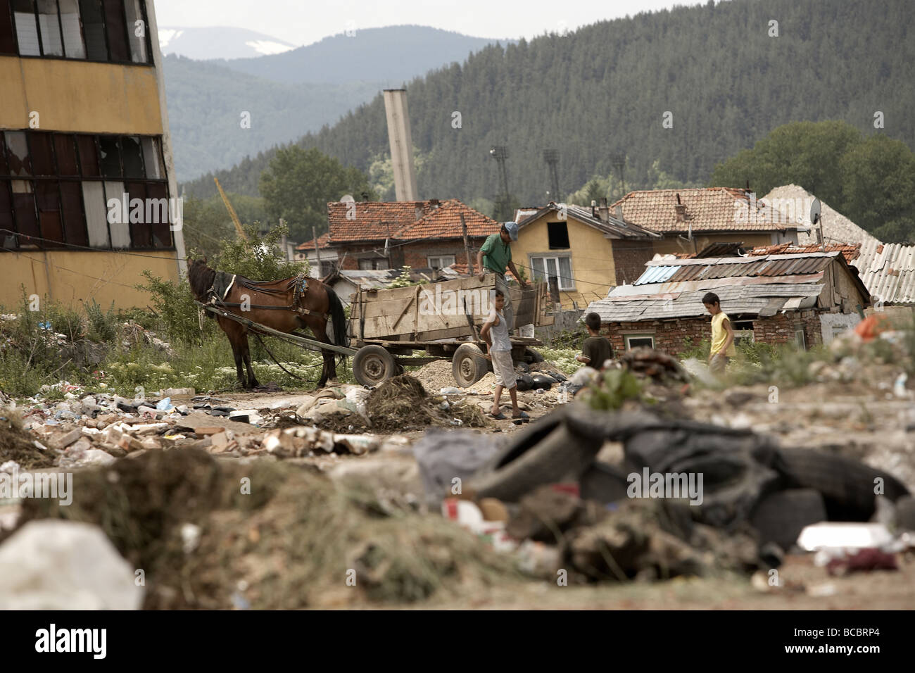 Adults and children scavenging for rubbish using a horse and cart ...