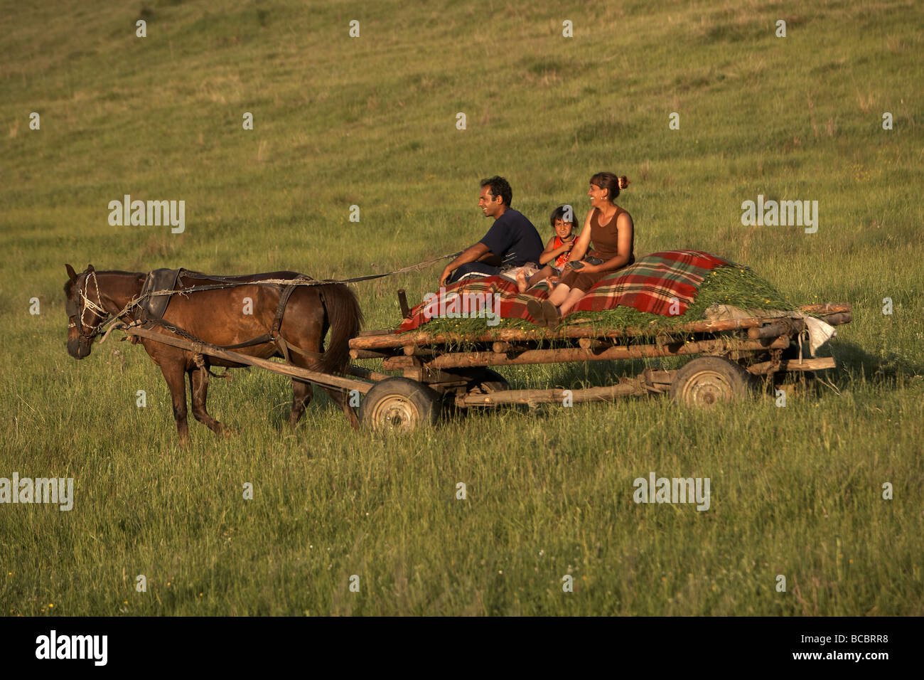 Family riding traditional horse and cart loaded with hay harvest near ...