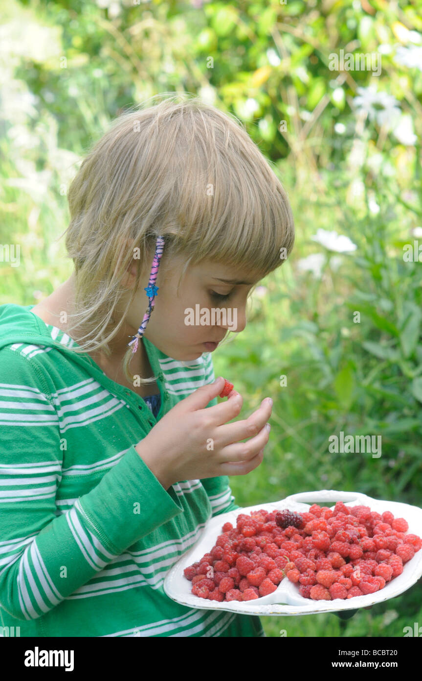 A six year old girl eating raspberries fresh from the garden Stock ...