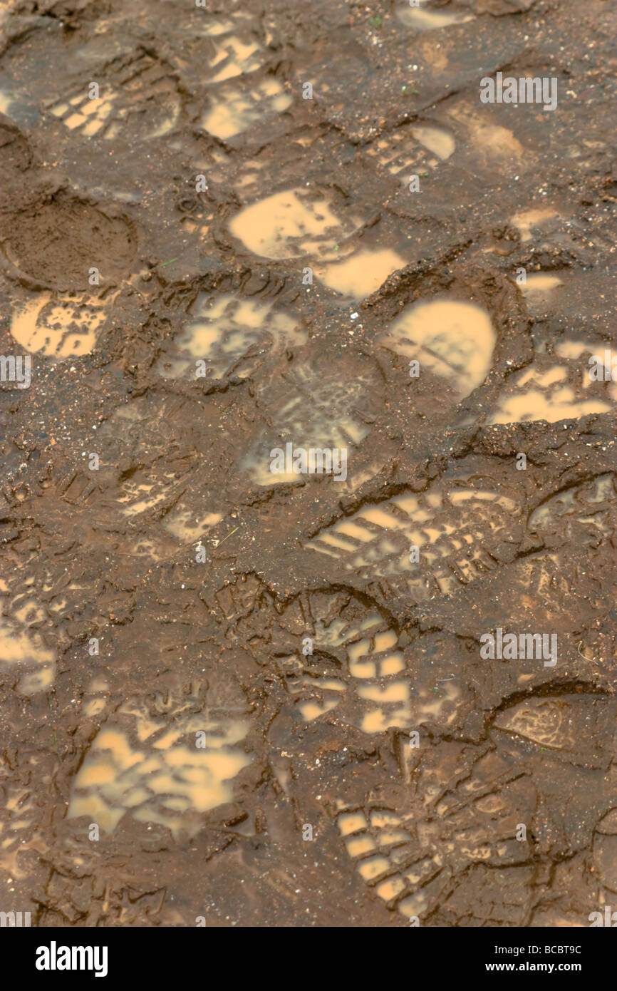 footprints in mud Stock Photo - Alamy