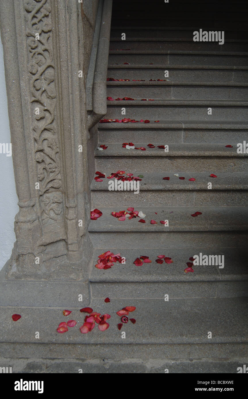 Rose stair hi-res stock photography and images - Alamy