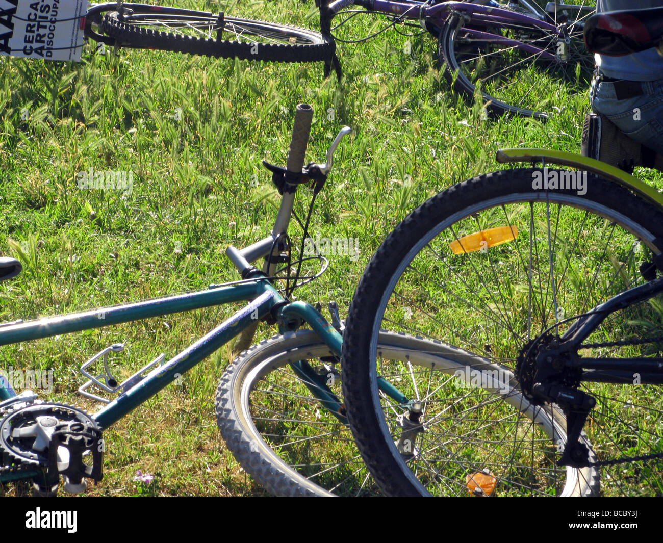 many bikes resting on grass in park Stock Photo - Alamy