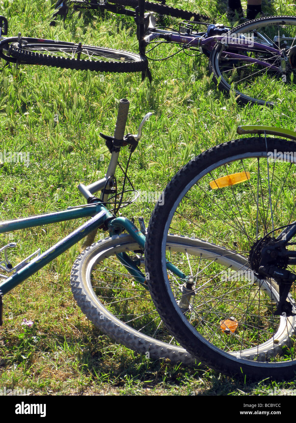 Resting pace hi-res stock photography and images - Alamy