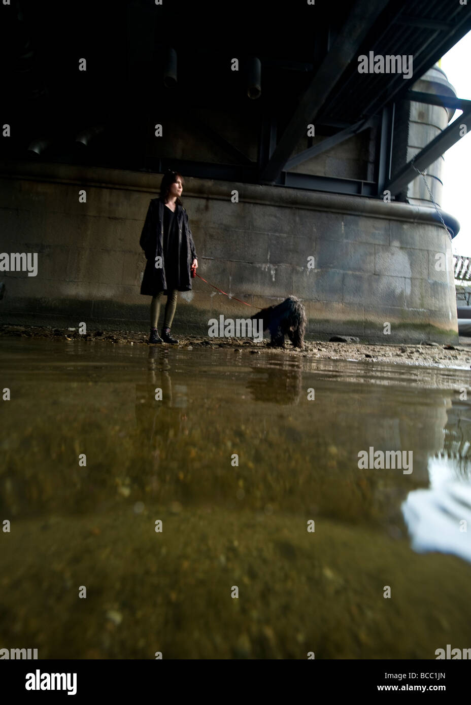 Dog under bridge hi-res stock photography and images - Alamy