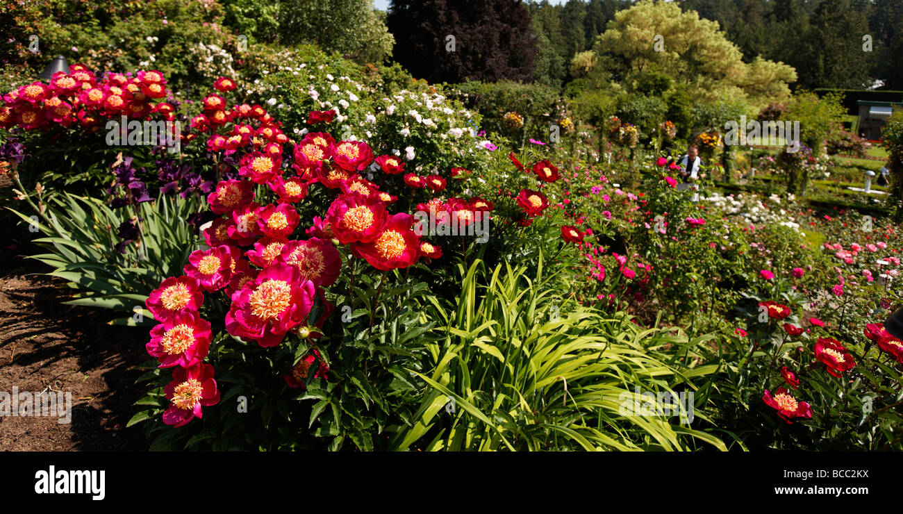 The Butchart Gardens near Victoria on Vancouver Island Rose Garden ...