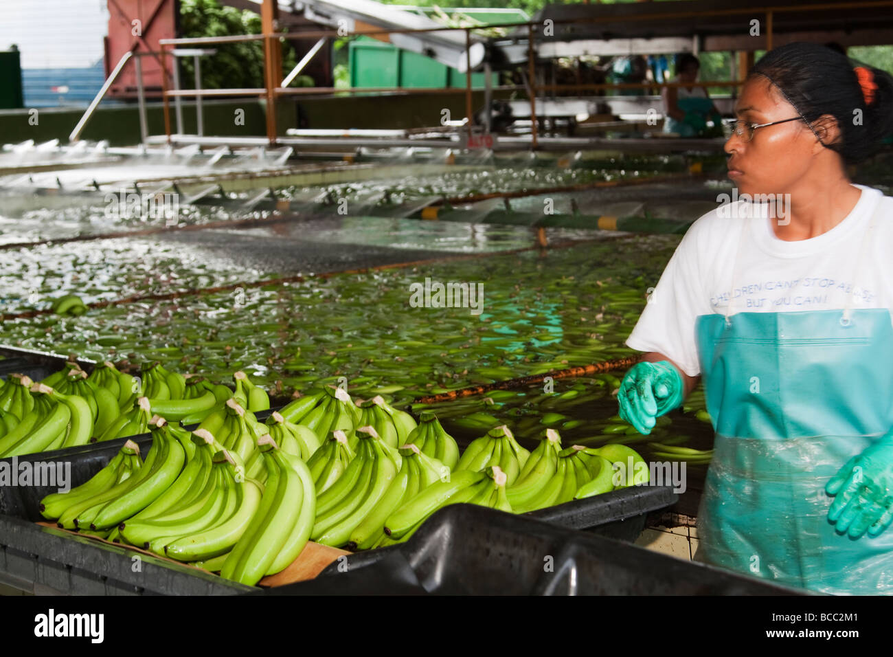 Banana Processing High Resolution Stock Photography and Images - Alamy