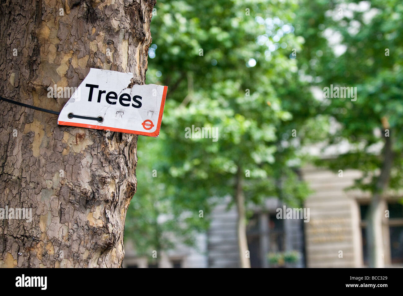 Remnants of a sign attached to a tree. Photo by Gordon Scammell Stock ...