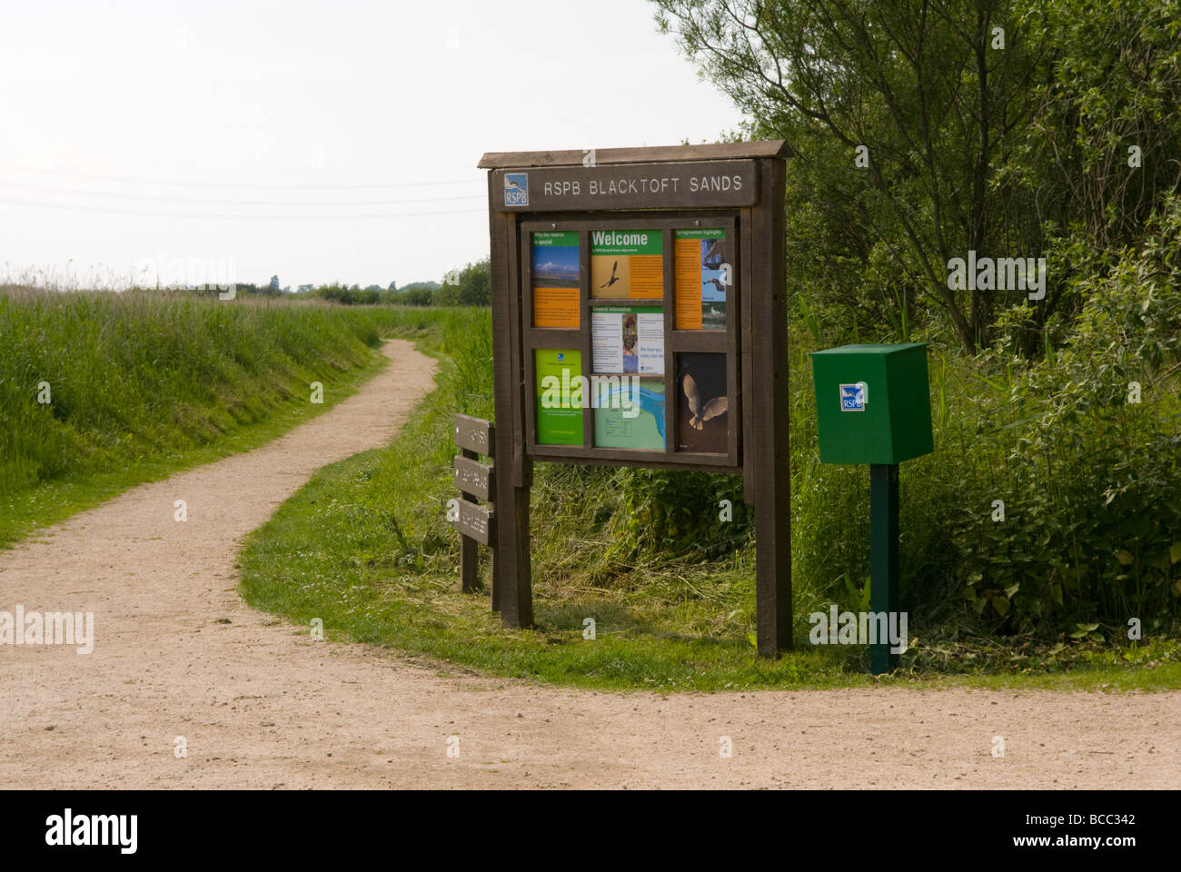 Blacktoft Sands nature reserve East Yorkshire England Stock Photo - Alamy