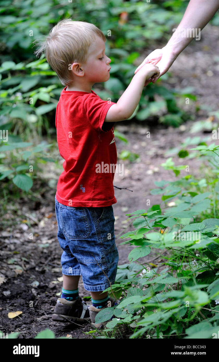 Little child blond Boy Eating Blueberries with mother in forest Stock ...