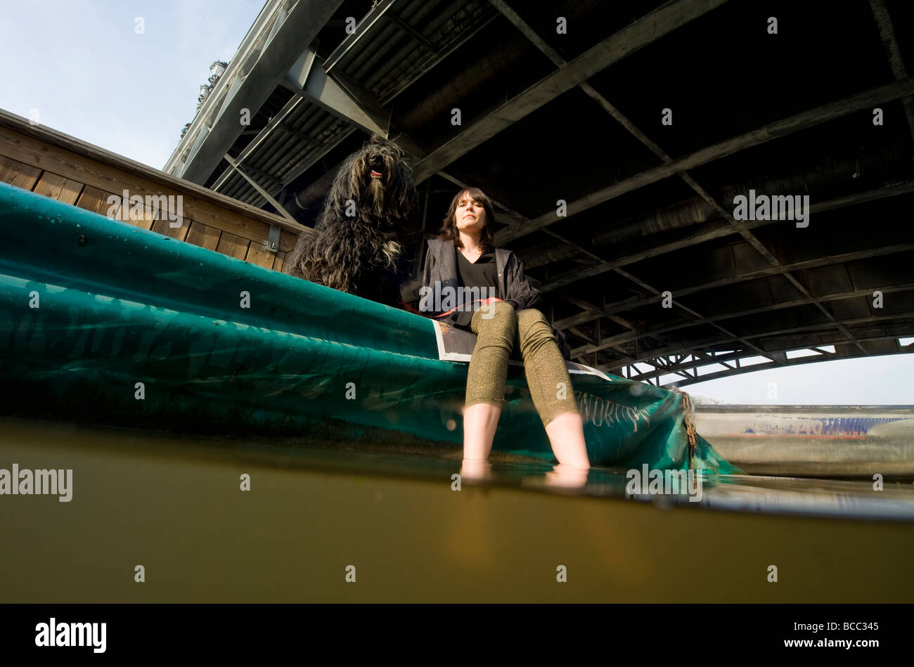 Dog split hi-res stock photography and images - Alamy