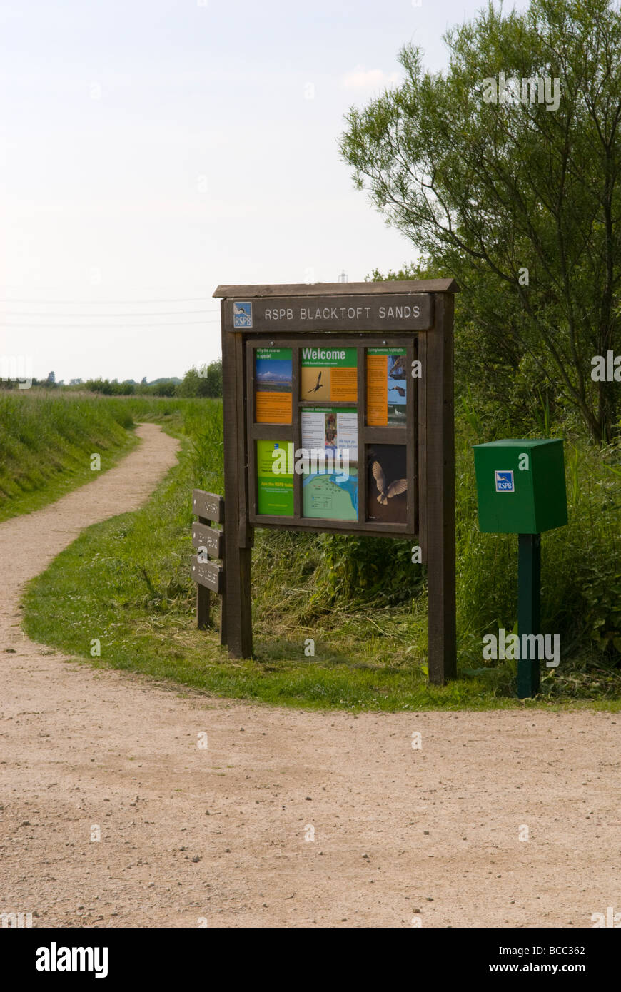 Blacktoft Sands nature reserve East Yorkshire England Stock Photo - Alamy