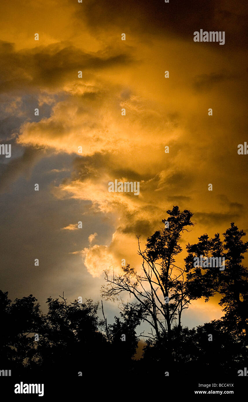 The aftermath of a storm hi-res stock photography and images - Alamy