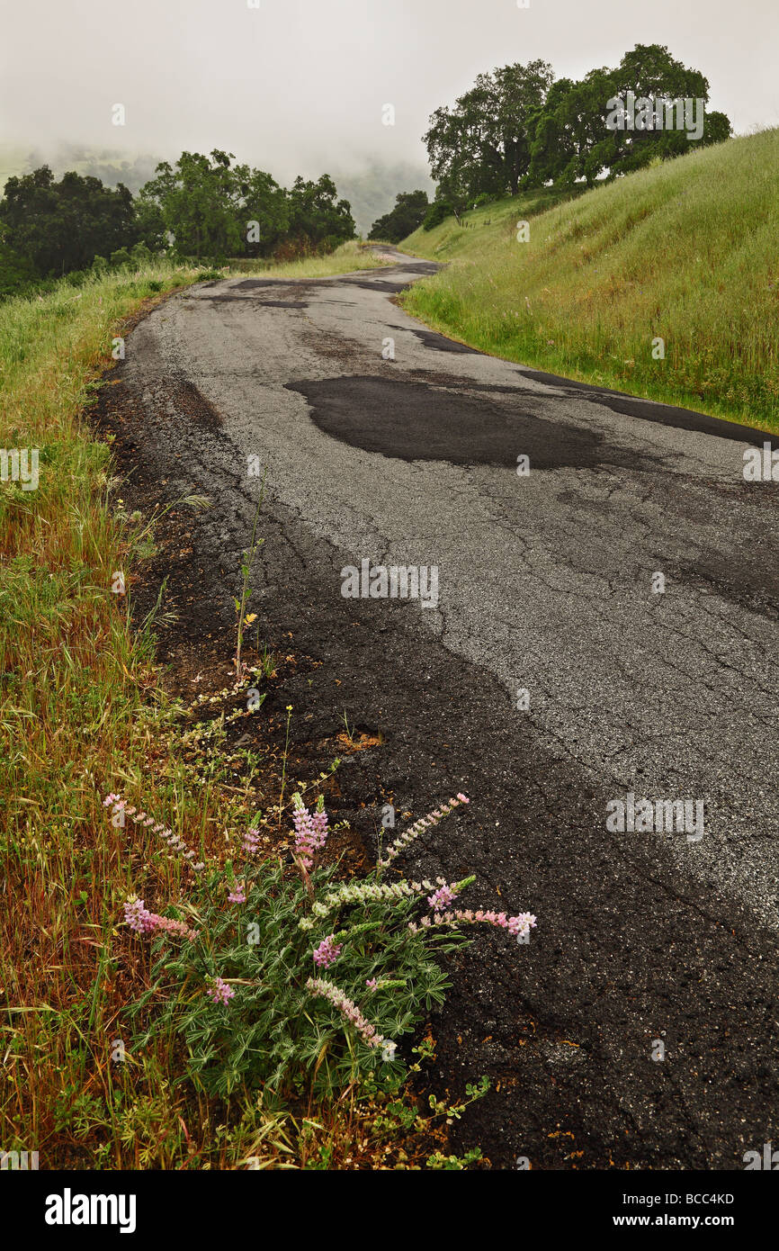 Patched road hi-res stock photography and images - Alamy