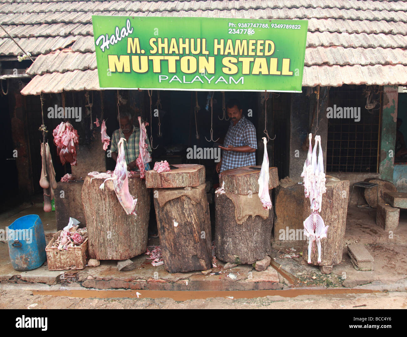 Lamb To The Slaughter Stock Photos & Lamb To The Slaughter Stock Images ...