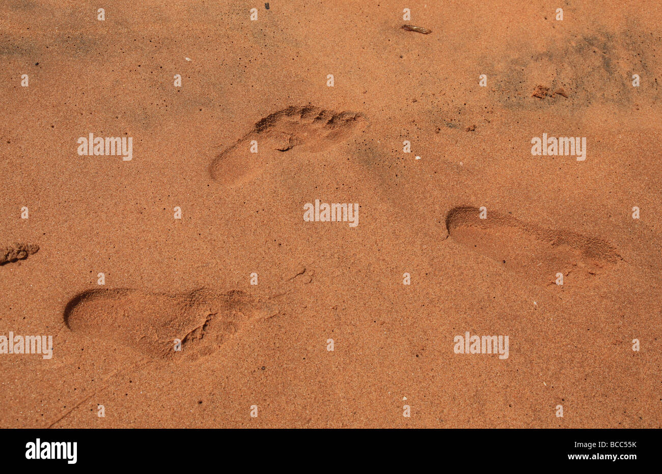 Footprints in sand Stock Photo - Alamy