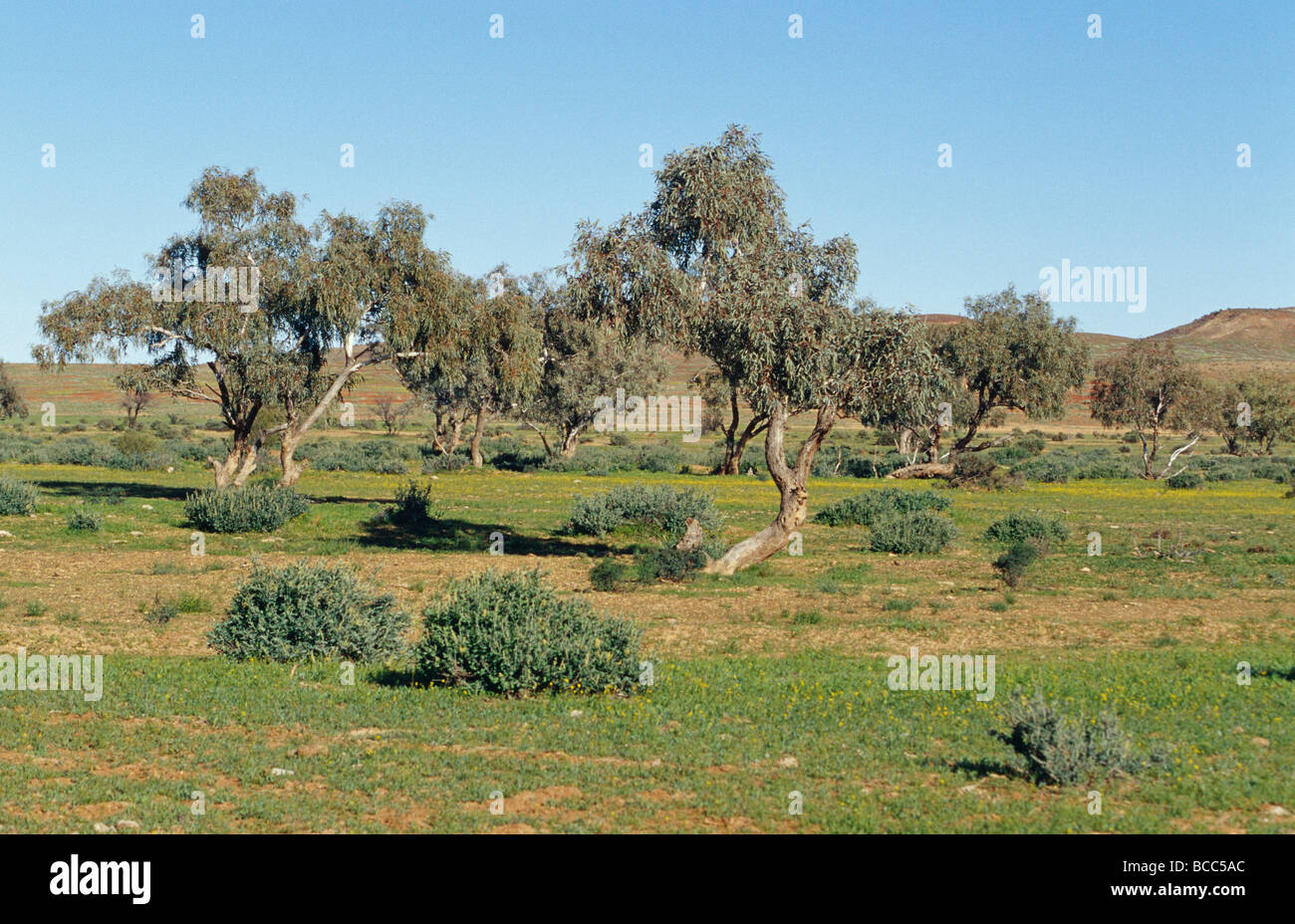 Mt sarah station hi-res stock photography and images - Alamy
