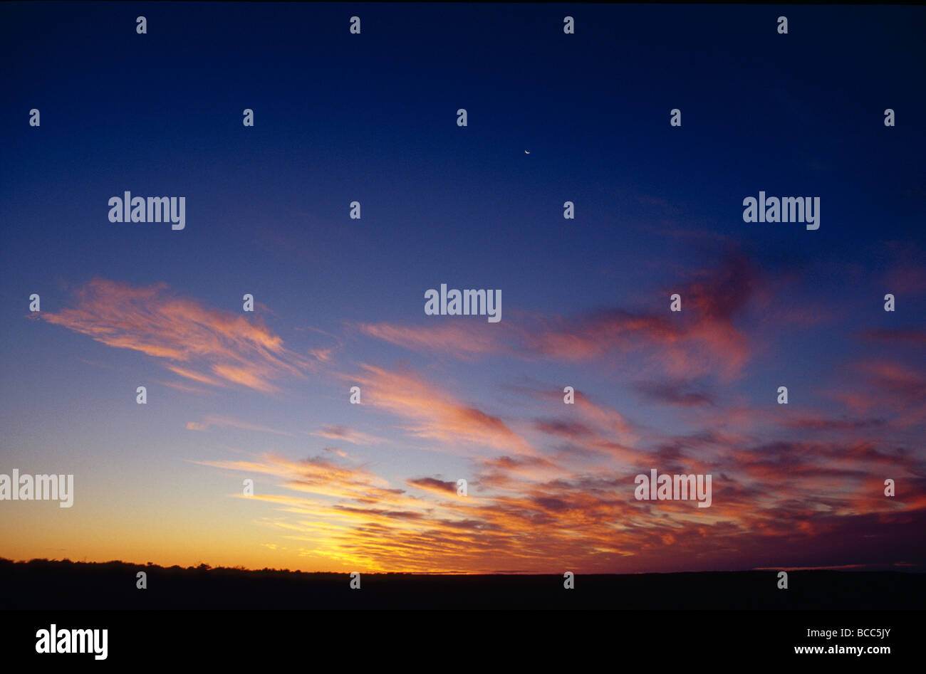 Simpson desert conservation park hi-res stock photography and images ...