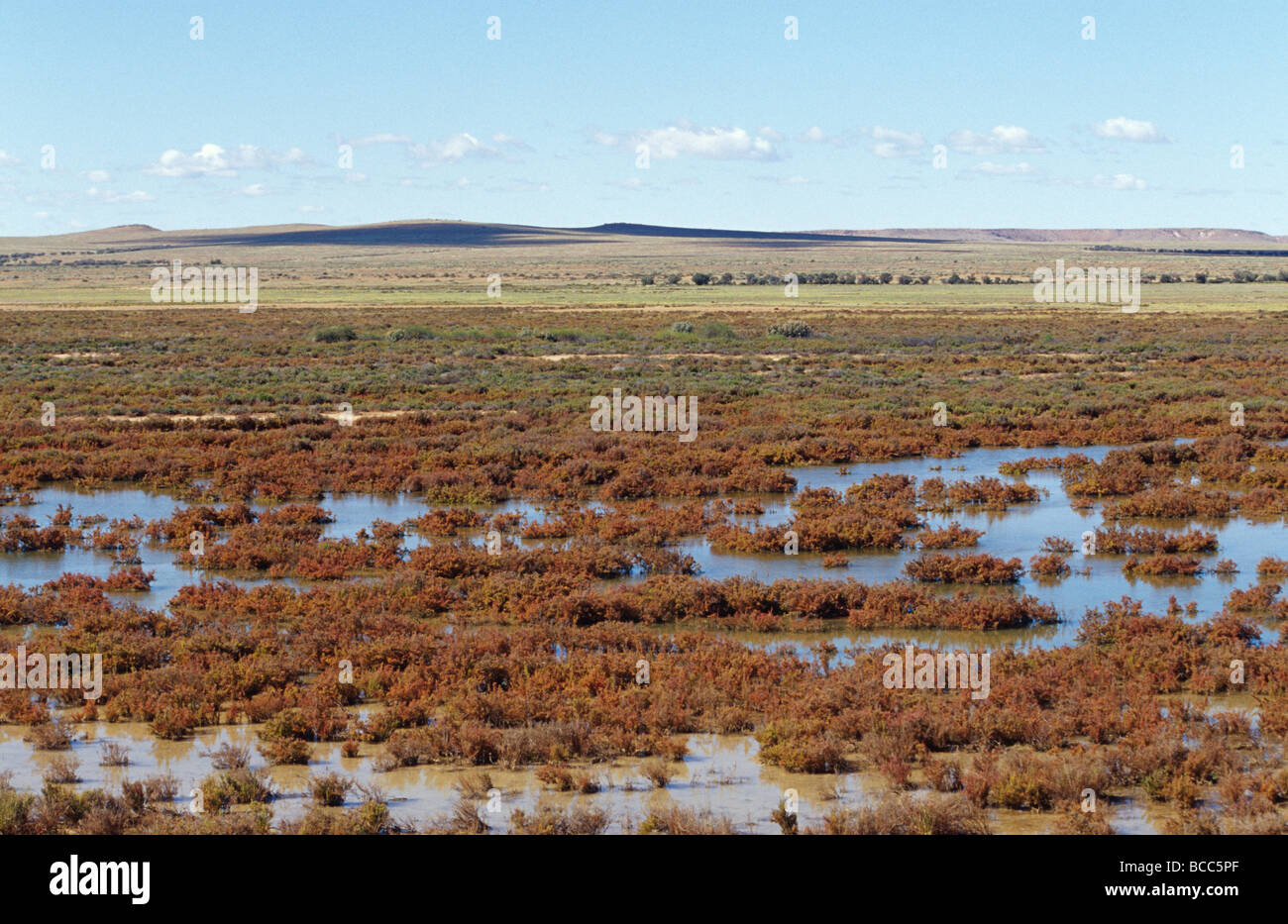 Simpson desert national park hi-res stock photography and images - Alamy