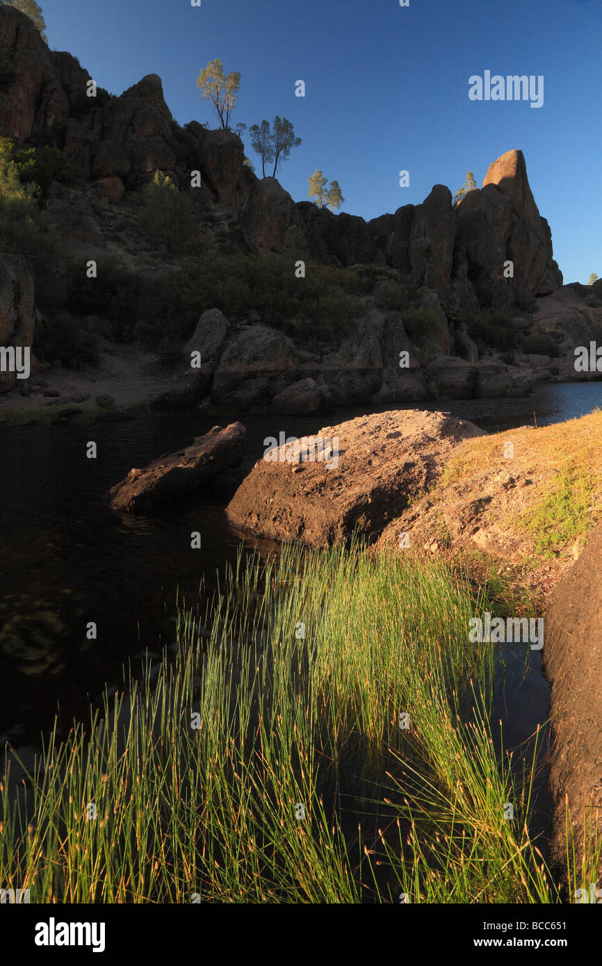 Warm light on rocks and plants in Pinnacles National Monument Stock ...
