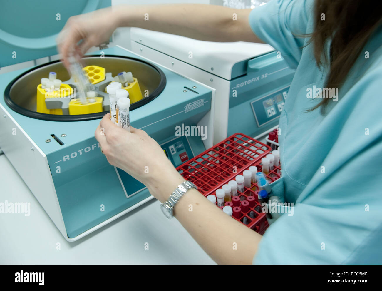 Woman sorting test tubes in a laboratory Stock Photo - Alamy