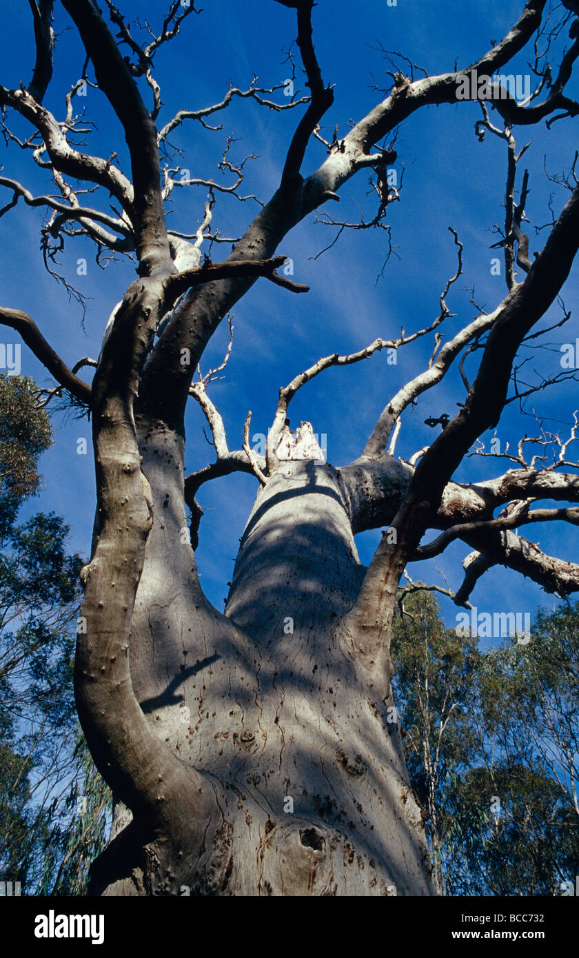 Melbourne sanctuary project hi-res stock photography and images - Alamy