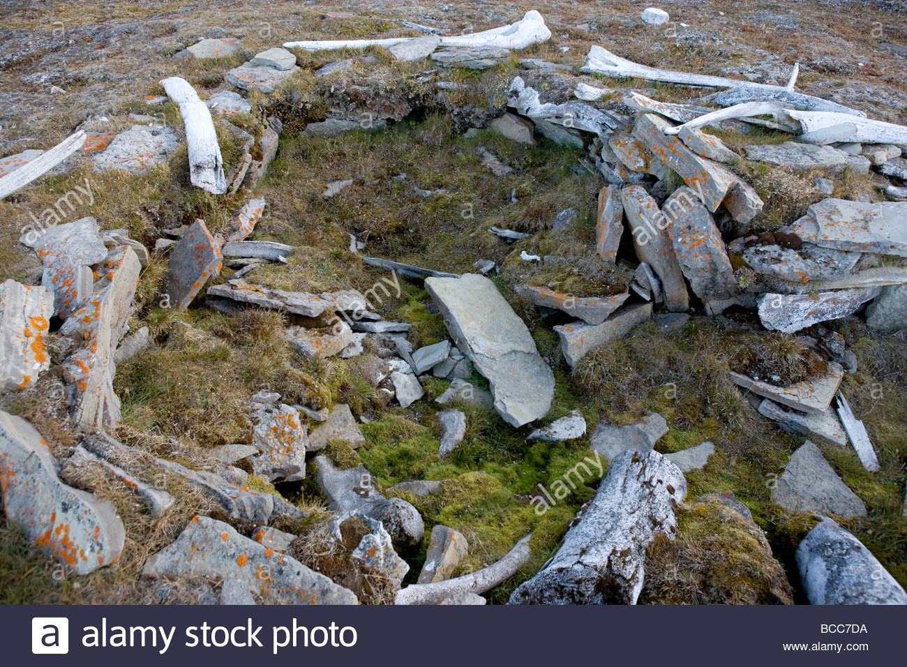 Thule Stock Photos & Thule Stock Images - Alamy