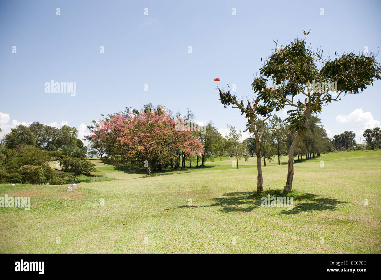 Jinja golf course. Africa Stock Photo - Alamy
