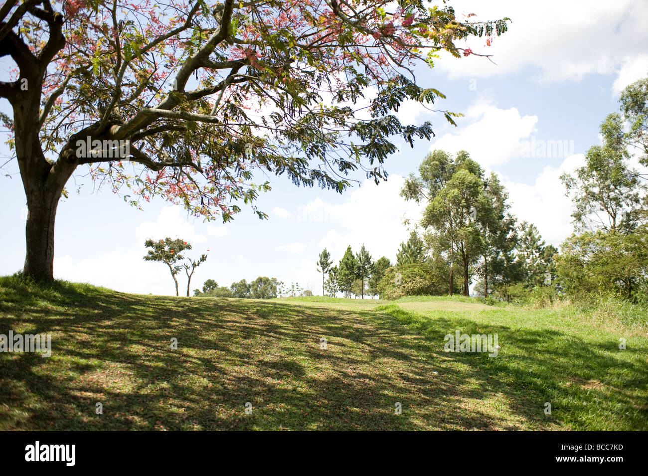 Jinja Golf course. Jinja Uganda Stock Photo - Alamy