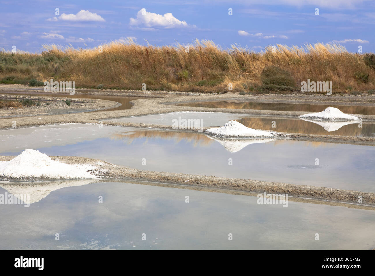 French Sea Salt in Guerande salt marshes, Britanny near Le Croisic ...